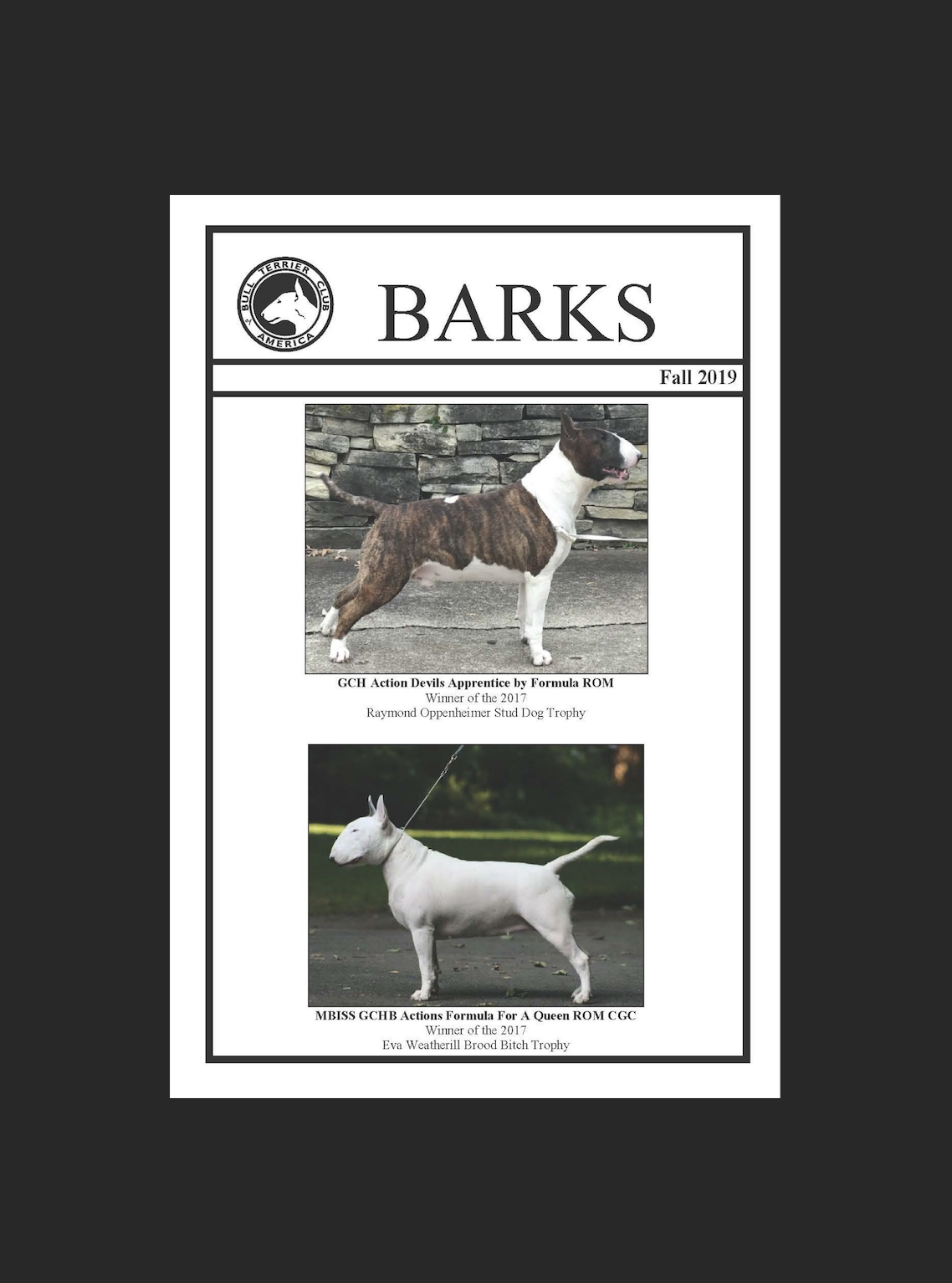 Barks — The Bull Terrier Club of America